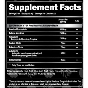 Alpha Lion Superhuman Post, Post Workout Recovery, Fast Acting Post Workout for Men & Women (25 Servings, Gainy Smith Apple)