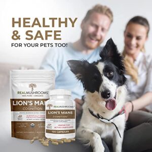 Organic Lions Mane Mushroom Powder Supplement - Improve Cognitive and Immune Support - Gluten Free Powder Extract