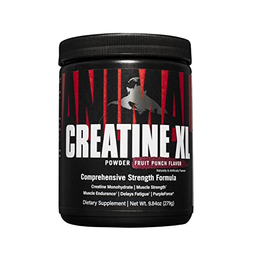 Animal Creatine XL Powder - Enhanced Pre Workout Creatine Monohydrate Supplement - Support Brain Health, Delay Fatigue, Enhance Endurance, Improve Recovery, Men and Women - Fruit Punch