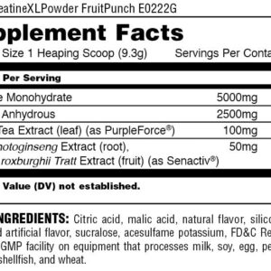 Animal Creatine XL Powder - Enhanced Pre Workout Creatine Monohydrate Supplement - Support Brain Health, Delay Fatigue, Enhance Endurance, Improve Recovery, Men and Women - Fruit Punch