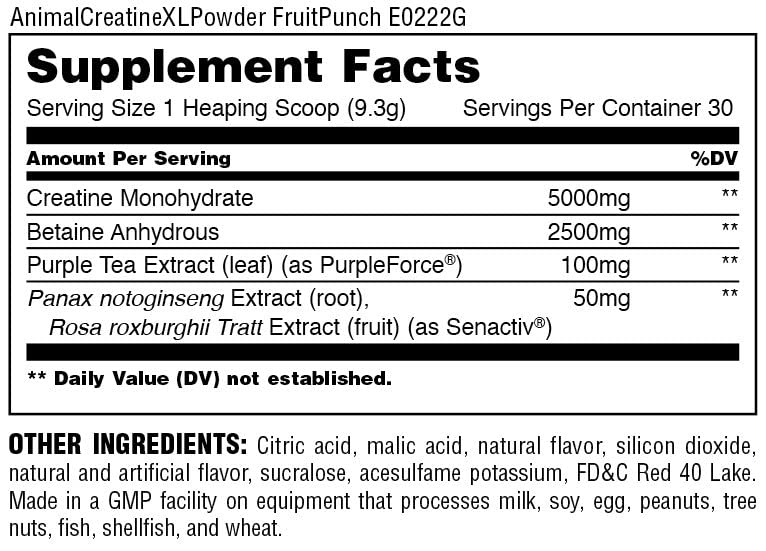 Animal Creatine XL Powder - Enhanced Pre Workout Creatine Monohydrate Supplement - Support Brain Health, Delay Fatigue, Enhance Endurance, Improve Recovery, Men and Women - Fruit Punch