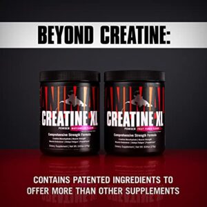 Animal Creatine XL Powder - Enhanced Pre Workout Creatine Monohydrate Supplement - Support Brain Health, Delay Fatigue, Enhance Endurance, Improve Recovery, Men and Women - Fruit Punch