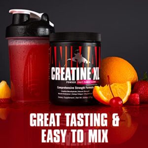 Animal Creatine XL Powder - Enhanced Pre Workout Creatine Monohydrate Supplement - Support Brain Health, Delay Fatigue, Enhance Endurance, Improve Recovery, Men and Women - Fruit Punch