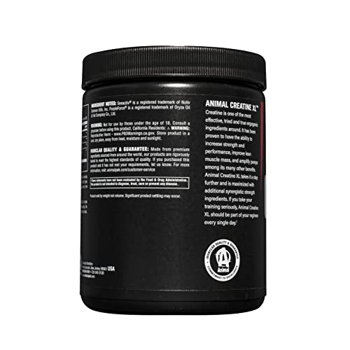 Animal Creatine XL Powder - Enhanced Pre Workout Creatine Monohydrate Supplement - Support Brain Health, Delay Fatigue, Enhance Endurance, Improve Recovery, Men and Women - Fruit Punch