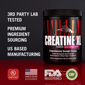 Animal Creatine XL Powder - Enhanced Pre Workout Creatine Monohydrate Supplement - Support Brain Health, Delay Fatigue, Enhance Endurance, Improve Recovery, Men and Women - Fruit Punch