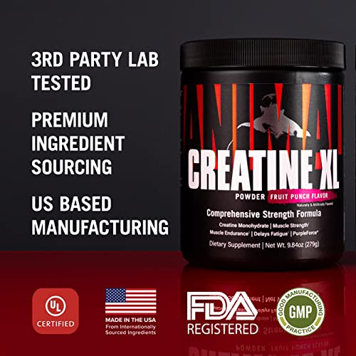 Animal Creatine XL Powder - Enhanced Pre Workout Creatine Monohydrate Supplement - Support Brain Health, Delay Fatigue, Enhance Endurance, Improve Recovery, Men and Women - Fruit Punch