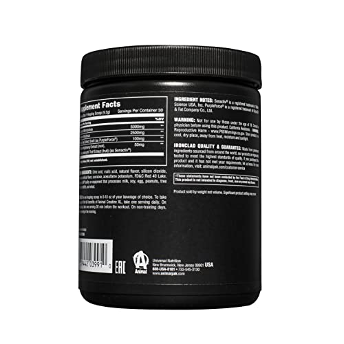 Animal Creatine XL Powder - Enhanced Pre Workout Creatine Monohydrate Supplement - Support Brain Health, Delay Fatigue, Enhance Endurance, Improve Recovery, Men and Women - Fruit Punch