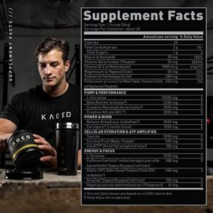 Pre Workout Powder; Pre-KAGED Elite Preworkout for Men & Women, High Stimulant for Workout Energy, Focus & Pumps; Premium L-Citrulline, Beta Alanine, Creatine, & 388mg of Caffeine, Strawberry Lemonade