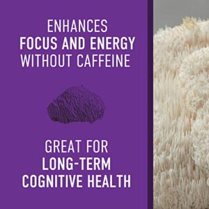 Steep Into It Organic Lions Mane Mushroom Supplement - Lions Mane Extract Powder for Mental Clarity, Focus and Cognitive Function (45g, 30 Servings) - Sharp & Focused