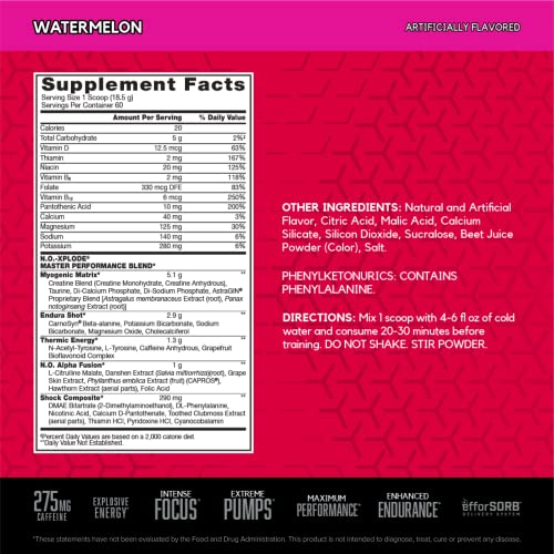 BSN N.O.-XPLODE Pre Workout Powder, Energy Supplement for Men and Women with Creatine and Beta-Alanine, Flavor: Watermelon, 60 Servings