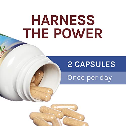 Host Defense, Stamets 7 Capsules, Daily Immune Support, Mushroom Supplement with Lion’s Mane and Reishi, Unflavored, 120