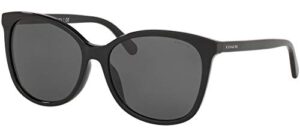 coach sunglasses hc 8271 u 500287 black