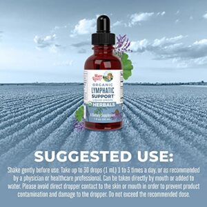 Lymphatic Drainage | Lymphatic Support Drops | USDA Organic Lymphatic Cleanse with Echinacea & Elderberry for Immune Support | Antioxidant & Immune Defense | Vegan | Non-GMO | 30 Servings