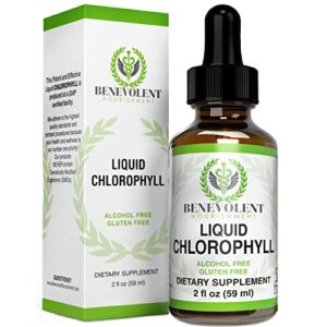 chlorophyll liquid drops – energy boost | immune system support | internal deodorant | altitude sickness. premium quality – 100% natural, potent, minty taste, 2x absorption.