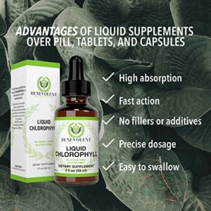 Chlorophyll Liquid Drops – Energy Boost | Immune System Support | Internal Deodorant | Altitude Sickness. Premium Quality – 100% Natural, Potent, Minty Taste, 2X Absorption.