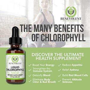 Chlorophyll Liquid Drops – Energy Boost | Immune System Support | Internal Deodorant | Altitude Sickness. Premium Quality – 100% Natural, Potent, Minty Taste, 2X Absorption.