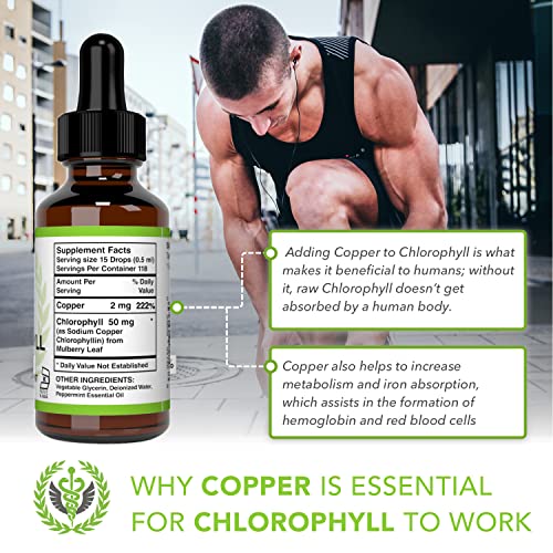 Chlorophyll Liquid Drops – Energy Boost | Immune System Support | Internal Deodorant | Altitude Sickness. Premium Quality – 100% Natural, Potent, Minty Taste, 2X Absorption.