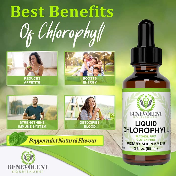 Chlorophyll Liquid Drops – Energy Boost | Immune System Support | Internal Deodorant | Altitude Sickness. Premium Quality – 100% Natural, Potent, Minty Taste, 2X Absorption.