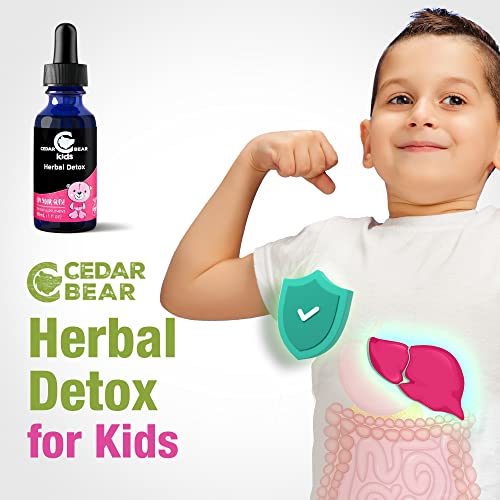 Cedar Bear - Herbal Detox for Kids - Luv Your Guts! a Liquid Herbal Supplement 1 fl oz / 30 ml