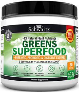 super greens superfood powder – greens powder with probiotics prebiotics digestive enzymes and 43 green superfoods – chlorophyll bilberry chlorella spirulina grass – tastes amazing – 30 servings