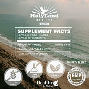 HolyLand Zeolite Cleanse | Zeolite Detox Powder (400 Gram Value Size) | Natural, Activated Clinoptilolite - Supports Energy, Mental Focus, pH Balance, Immune Defense, & Optimal Gut Health