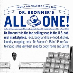 Dr. Bronner's - Pure-Castile Liquid Soap (Peppermint, 1 Gallon) - Made with Organic Oils, 18-in-1 Uses: Face, Body, Hair, Laundry, Pets and Dishes, Concentrated, Vegan, Non-GMO