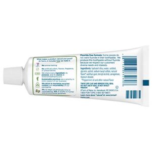 Tom's of Maine Travel Size Fluoride-Free Fresh Mint Toothpaste, 3 oz. (Packaging May Vary)