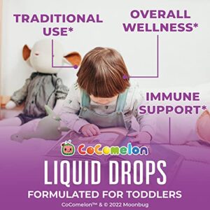 Cocomelon Elderberry Syrup for Toddlers by MaryRuth's | USDA Organic | Black Elderberry Liquid Drops for Immune Support | Blueberry Raspberry | Kids Ages 1-3 Years | Vegan | Non-GMO | 1 Oz