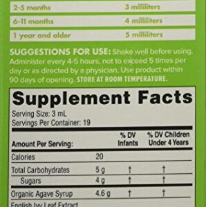 Zarbee'S Natura Children's Grape Flavor Cough Syrup + Mucus, 2 Ounce