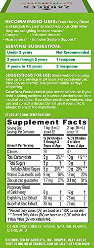 Zarbee's Naturals Children's Grape Cough Syrup + Mucus Relief - 4 oz