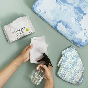 The Honest Company Dry Wipes, 192 wipes -48 Count (Pack of 4)