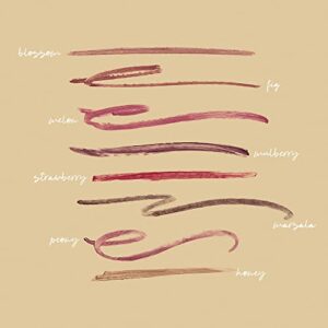 Honest Beauty Lip Crayon-Demi-Matte, Mulberry with Jojoba Oil & Shea Butter | Lightweight, High-Impact Color | EWG Certified + Dermatologist tested + Hypoallergenic & Cruelty free | 0.105 oz.