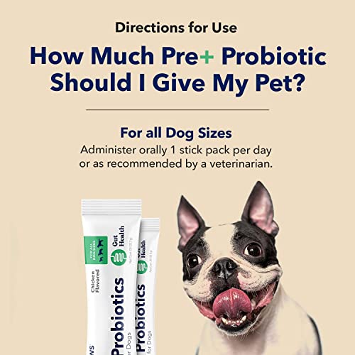 Honest Paws Probiotics for Dogs Made in USA - Dog Probiotic Powder with Prebiotic for Healthy Gut, Digestive and Immune Support - Digestive Enzymes with Chicken Flavor (30 Sticks)