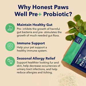 Honest Paws Probiotics for Dogs Made in USA - Dog Probiotic Powder with Prebiotic for Healthy Gut, Digestive and Immune Support - Digestive Enzymes with Chicken Flavor (30 Sticks)