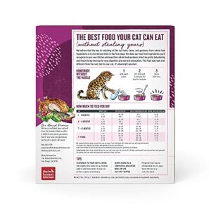 The Honest Kitchen Dehydrated Grain Free Chicken & Fish Cat Food, 2 lb Box