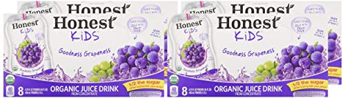 Honest Kids Goodness Grapeness, Grape Organic Fruit Juice Drink, 6.75 fl oz (32 Pack)