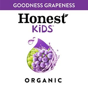 Honest Kids Goodness Grapeness, Grape Organic Fruit Juice Drink, 6.75 fl oz (32 Pack)