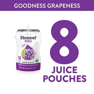 Honest Kids Goodness Grapeness, Grape Organic Fruit Juice Drink, 6.75 fl oz (32 Pack)