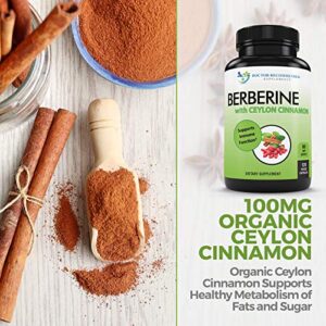 DOCTOR RECOMMENDED SUPPLEMENTS Berberine with Ceylon Cinnamon - 1200mg Berberine & 100mg Organic Ceylon Cinnamon - 120 Veggie Capsules, Healthy Immune System & Gastrointestinal Wellness