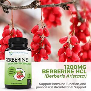 DOCTOR RECOMMENDED SUPPLEMENTS Berberine with Ceylon Cinnamon - 1200mg Berberine & 100mg Organic Ceylon Cinnamon - 120 Veggie Capsules, Healthy Immune System & Gastrointestinal Wellness