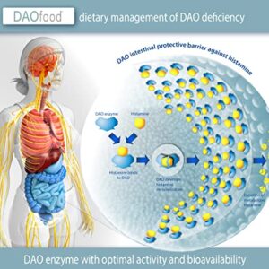 DR Healthcare DAOfood - Dietary Management of DAO Deficiency/Histamine Intolerance - Dispenser 60 Mini Gastro-Resistant Tablets - DAO Enzyme