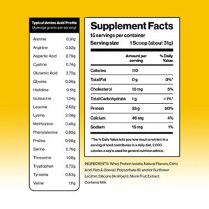 Whey Goods Clear Whey Protein Isolate (Iced Tea Lemonade)