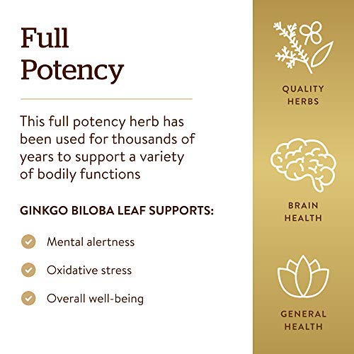 Solgar Ginkgo Biloba Leaf Extract, 180 Vegetable Capsules - Brain Health & Mental Alertness - Standardized Full Potency (SFP) - Non-GMO, Vegan, Gluten Free, Dairy Free, Kosher, Halal - 180 Servings