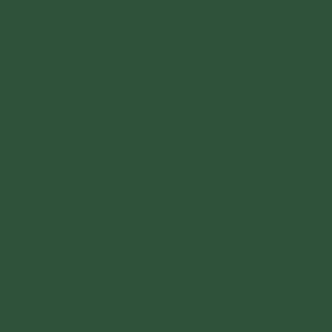 Rust-Oleum 7732502-2PK Stops Rust Brush On Paint, Quart, Satin Hunter Green, 2 Pack