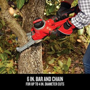 CRAFTSMAN V20* Cordless Lopper (CMCCSL621D1)