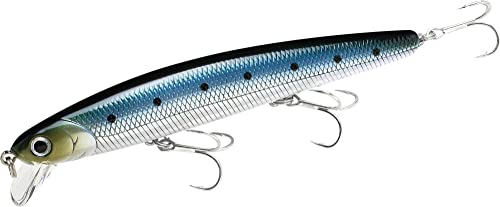 LUCKY CRAFT Flashminnow 110 (714 Metallic Sardine), Surf Fishing Lure