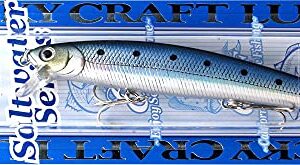 LUCKY CRAFT Flashminnow 110 (714 Metallic Sardine), Surf Fishing Lure