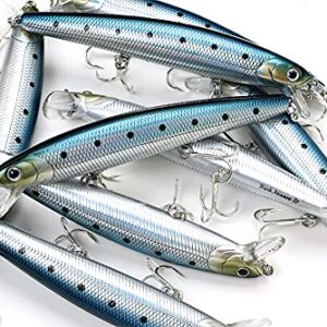 LUCKY CRAFT Flashminnow 110 (714 Metallic Sardine), Surf Fishing Lure