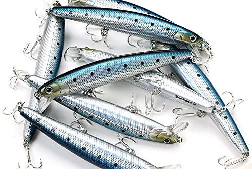 LUCKY CRAFT Flashminnow 110 (714 Metallic Sardine), Surf Fishing Lure