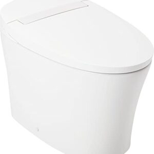 Signature Hardware 477058-12-R Narelle 1.28 GPF One Piece Elongated Toilet - Standard Seat Included